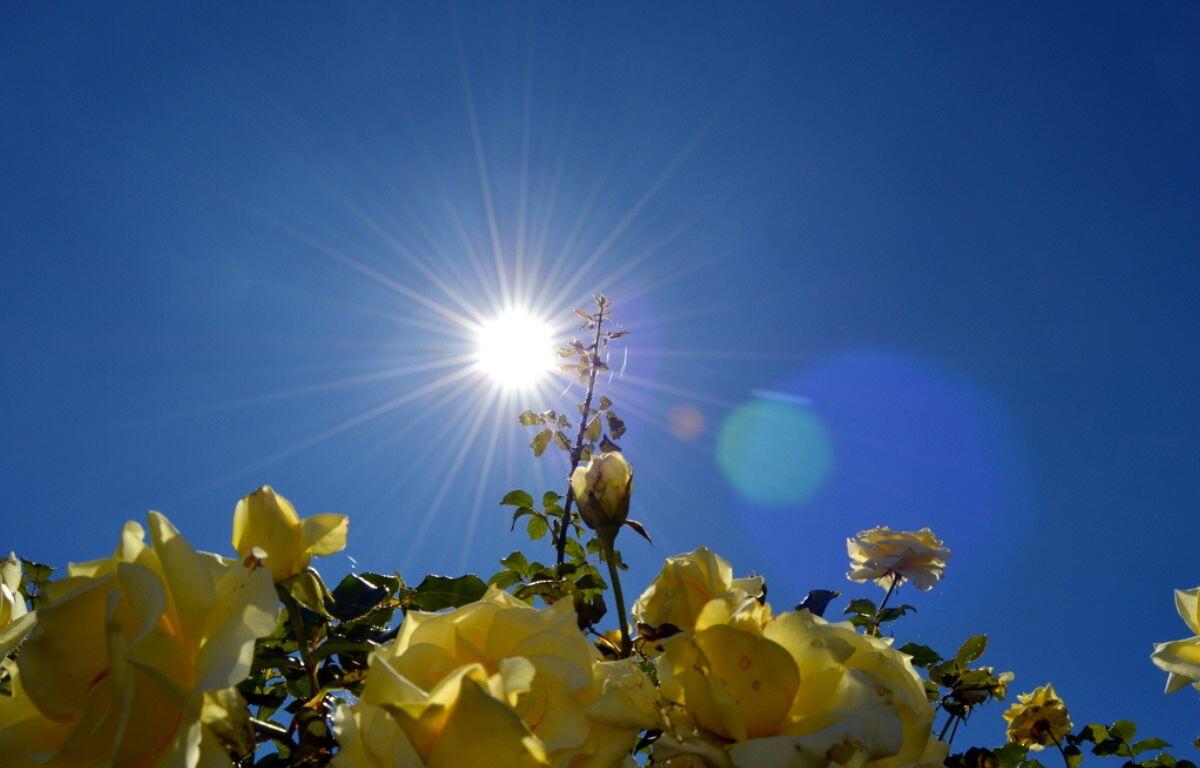 WEEKEND WEATHER: Mild, sunny weekend ahead after brief Friday night ...